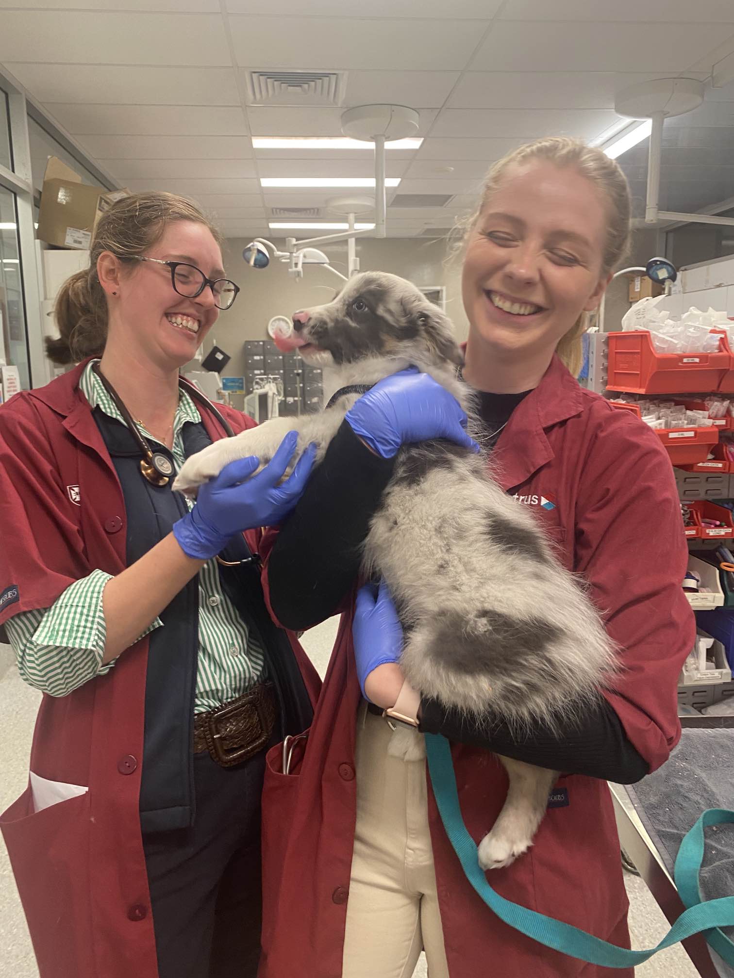 Student outreach saves lives - Faculty of Science - University of Queensland